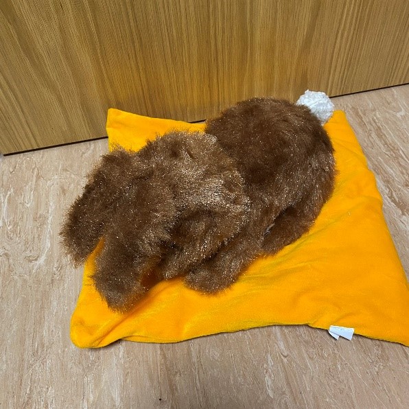 Weighted Lap Buddy (Rabbit) - Leeds Mencap